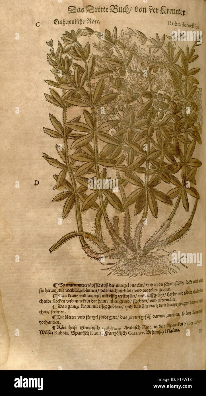 This botanical work focuses on early plant classifications and ...