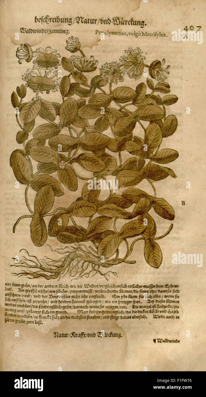 This early 1800s work focuses on medicinal plants, drawing from the ...