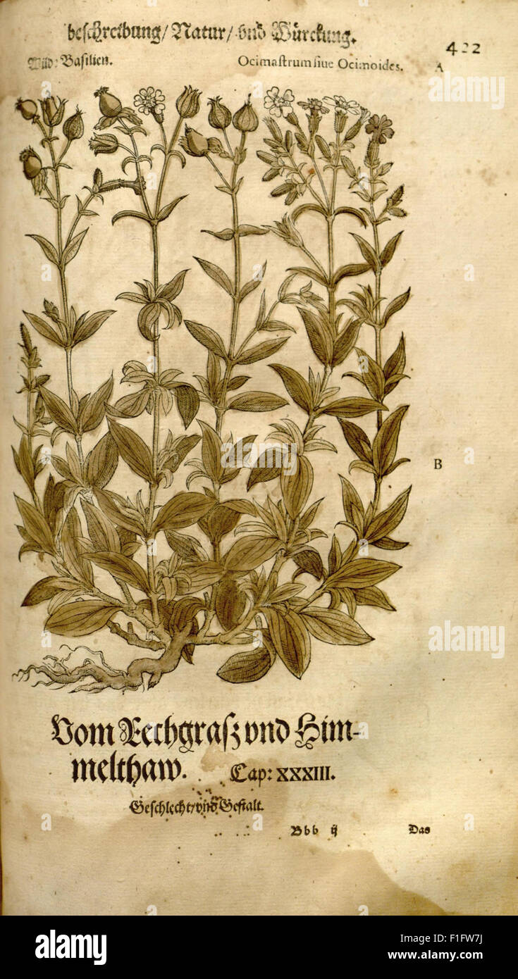 The 'New Kreterbuch' features early botanical and medicinal knowledge ...