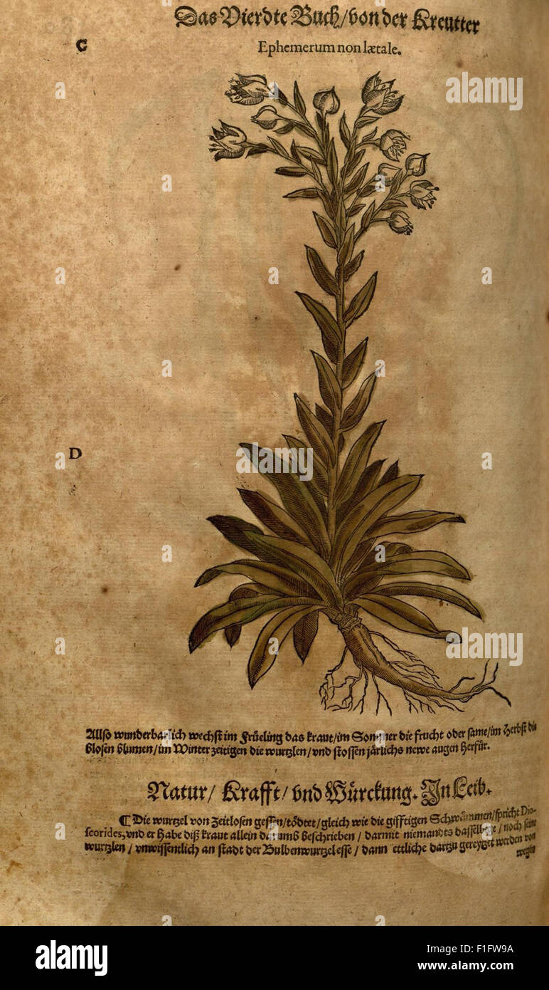This work from the early 1800s offers an important reference for the ...