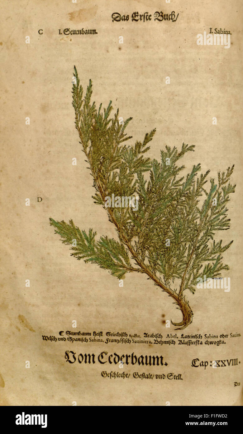 This early 1800s botanical work offers detailed descriptions of ...
