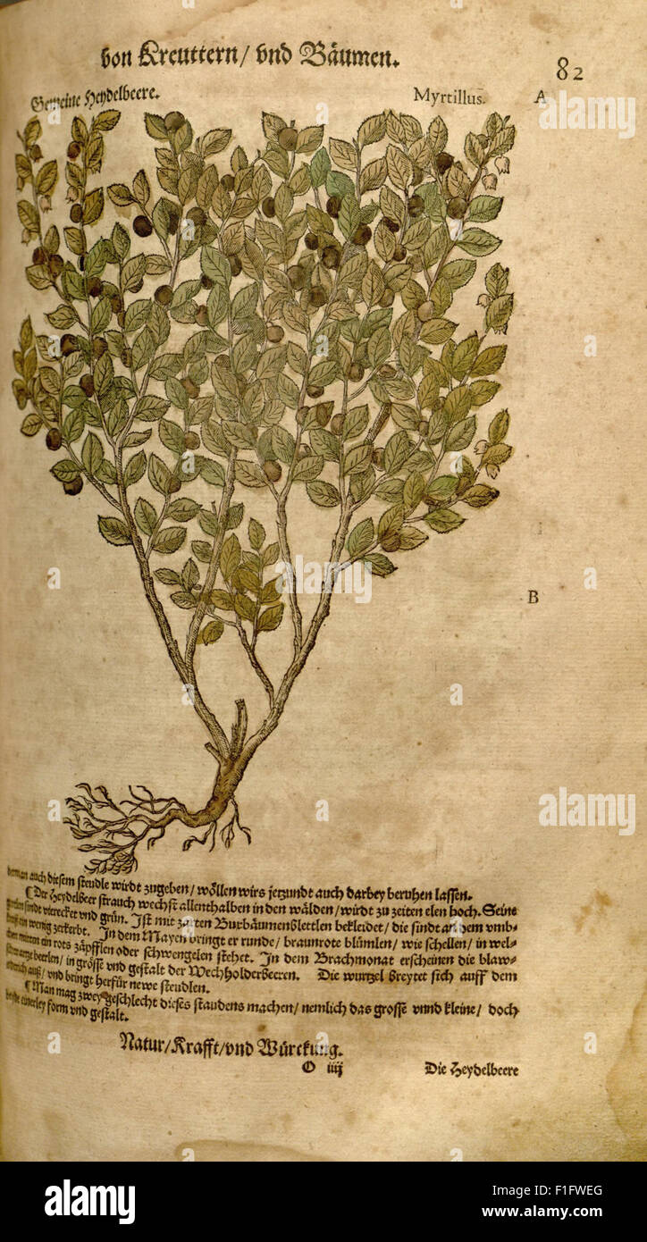 This historical work, featuring illustrations of medicinal plants ...