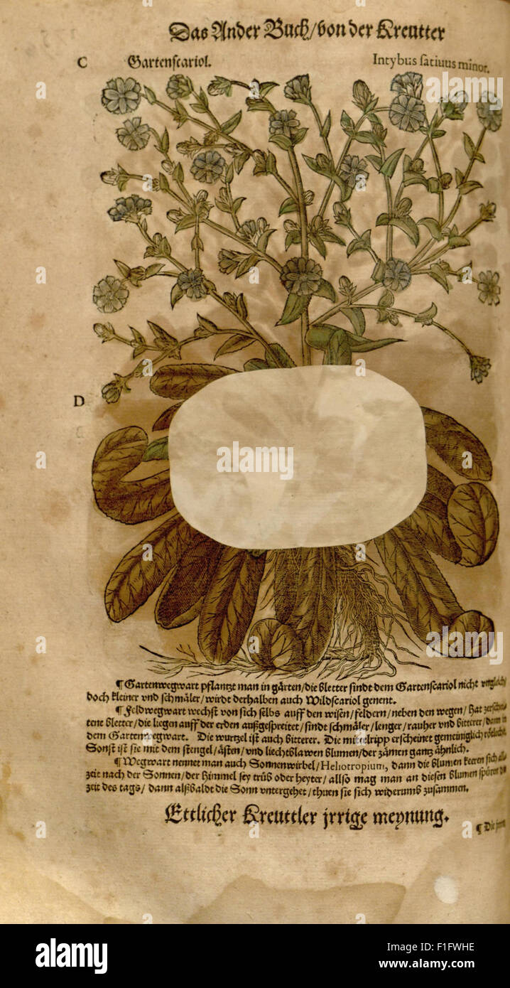 An early pharmacological text that explores medicinal plants based on ...