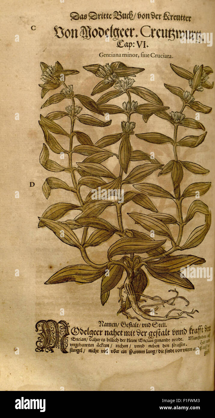 This early botanical work explores medicinal plants and their uses ...