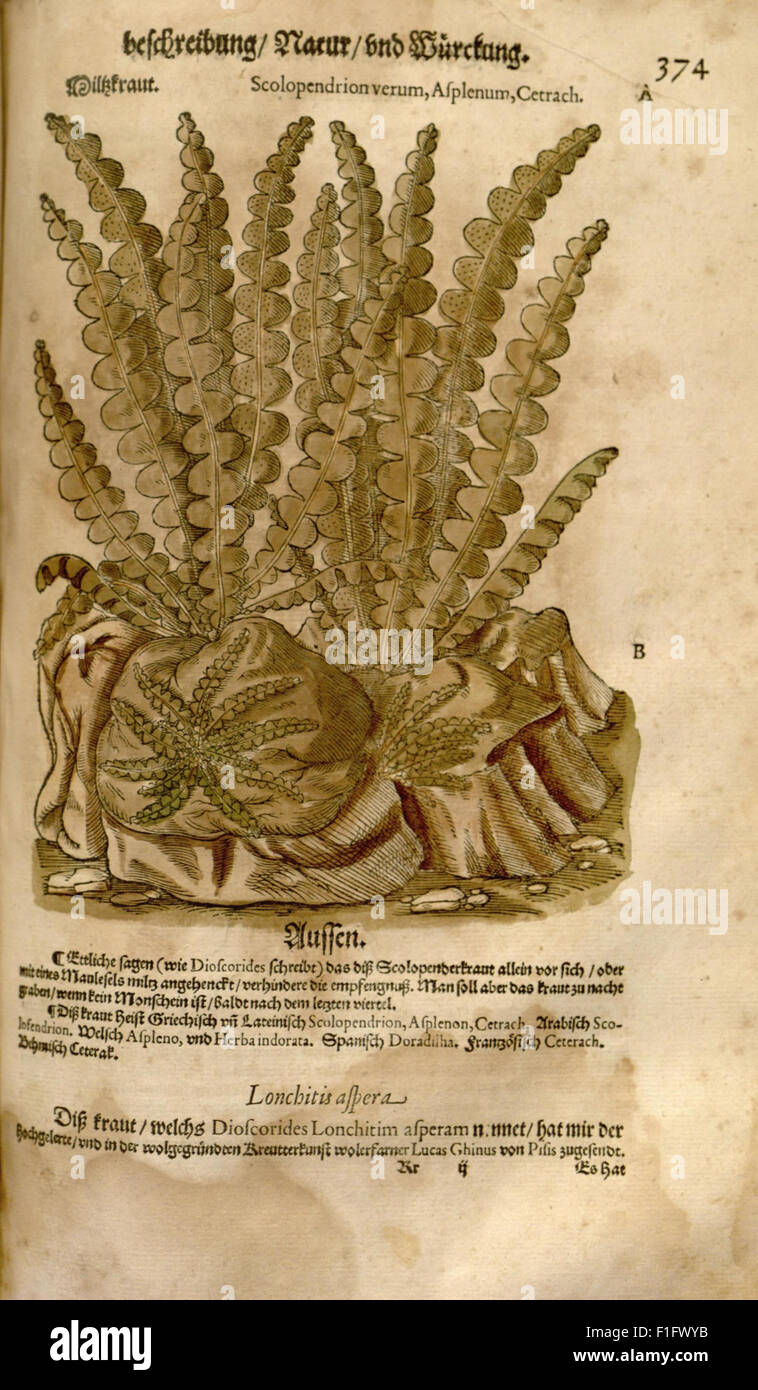 *New Kreterbuch* offers a thorough study of medicinal plants and their ...