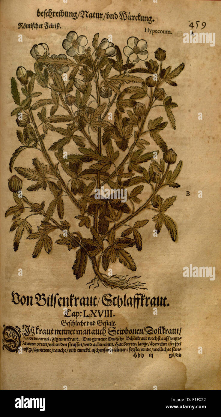 This early work on materia medica, attributed to Dioscorides Pedanius ...