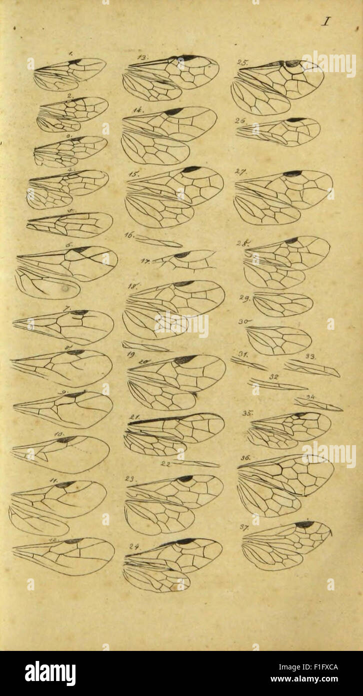 This entomological catalog offers a comprehensive list of insect ...