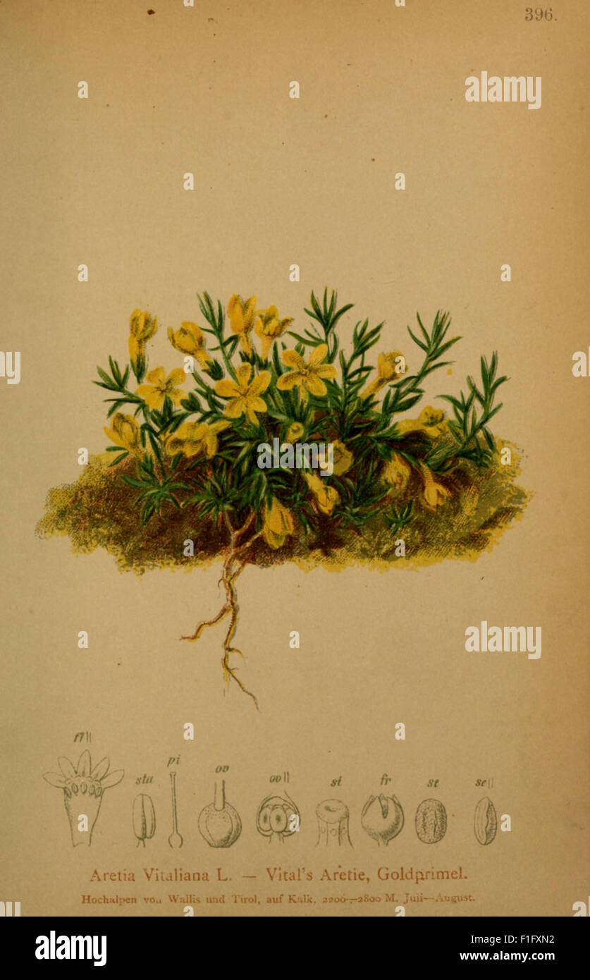 'Atlas der Alpenflora' is a botanical atlas documenting the flora of ...