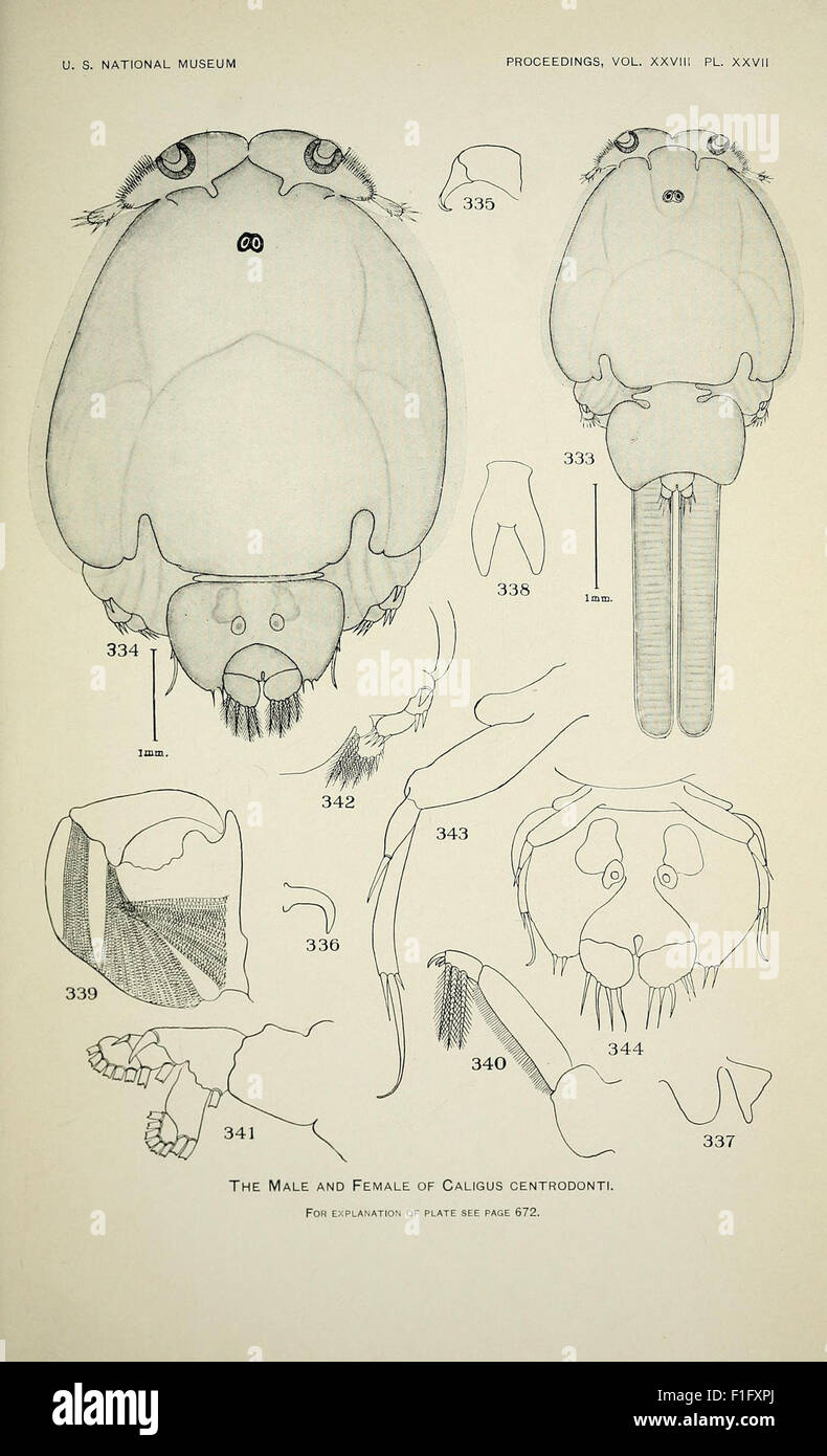 This work presents illustrations and descriptions of North American ...