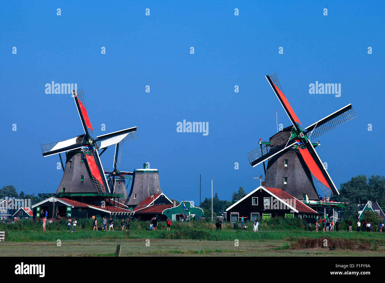 Classic Dutch windmill at Zaanse Schans Stock Photo - Alamy