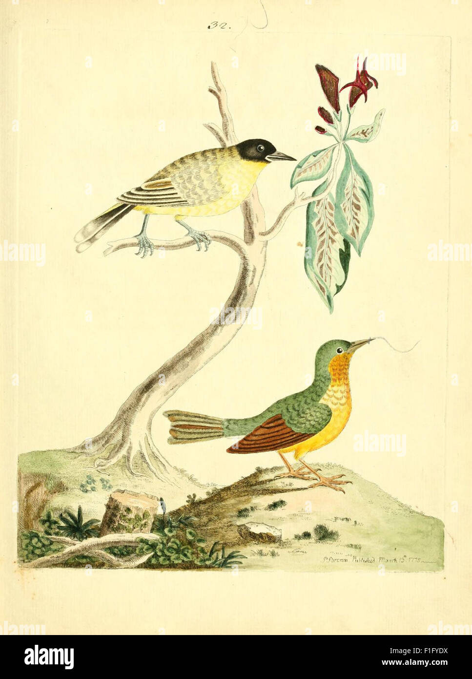 This 18th-century work features new illustrations of various animal ...