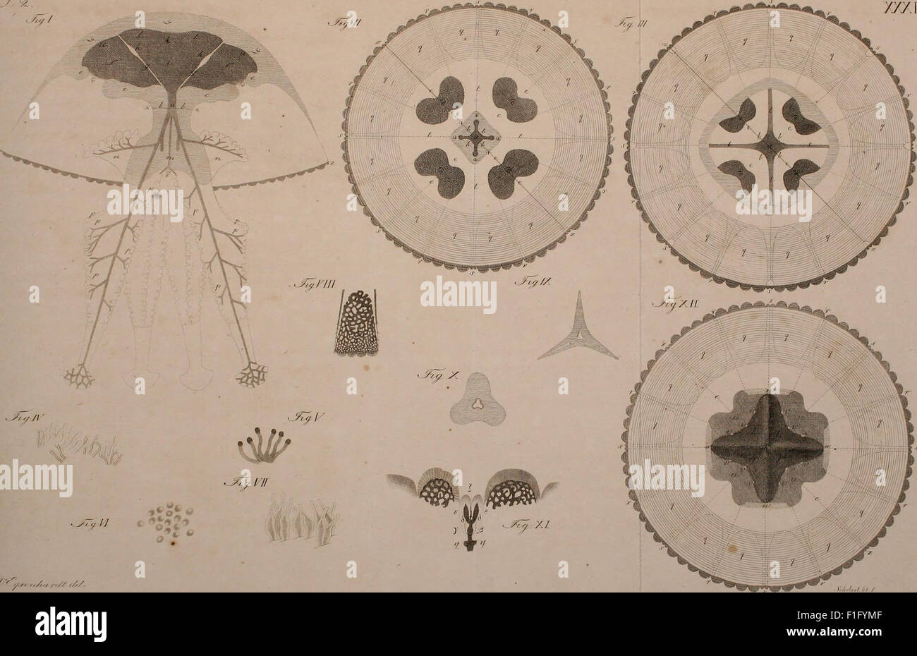 This scientific journal, published in 1820, presents various articles ...