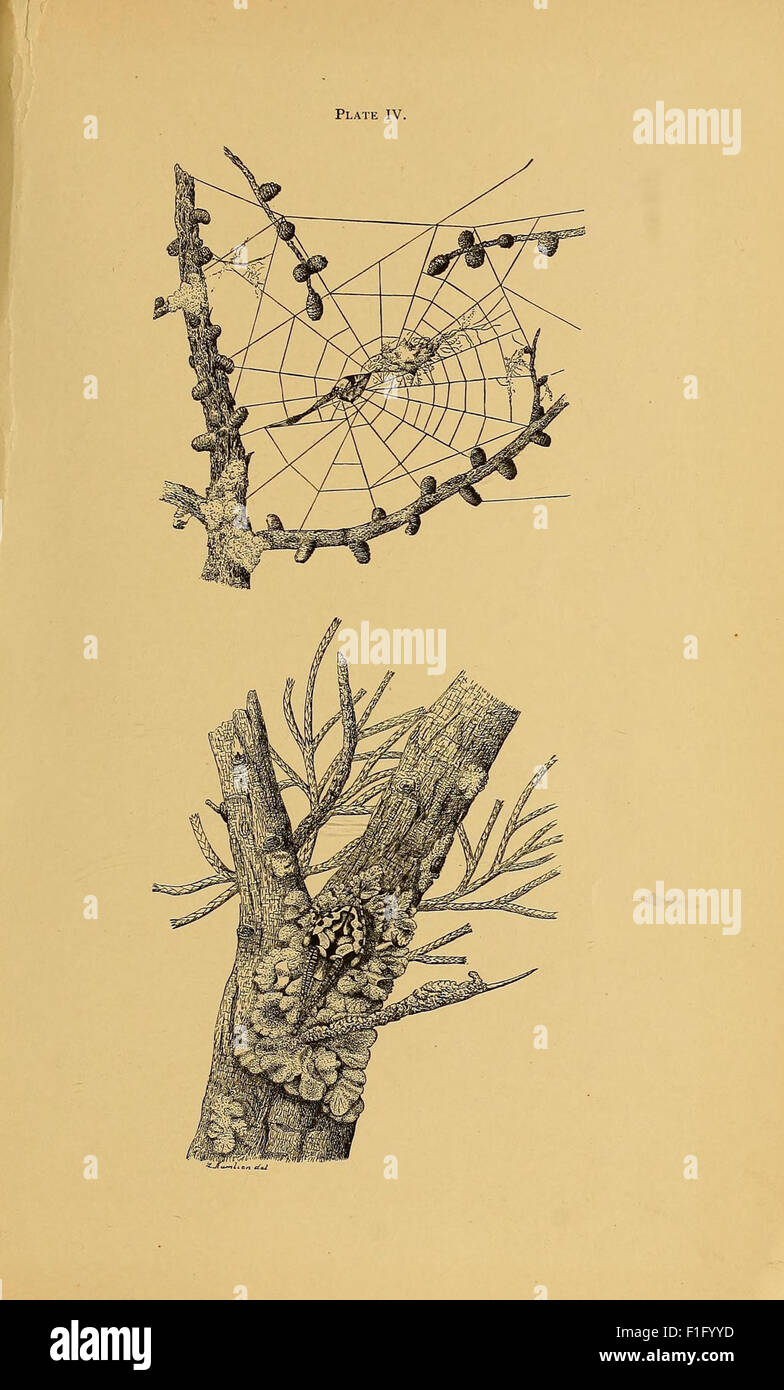 This series of occasional papers from the Natural History Society of ...