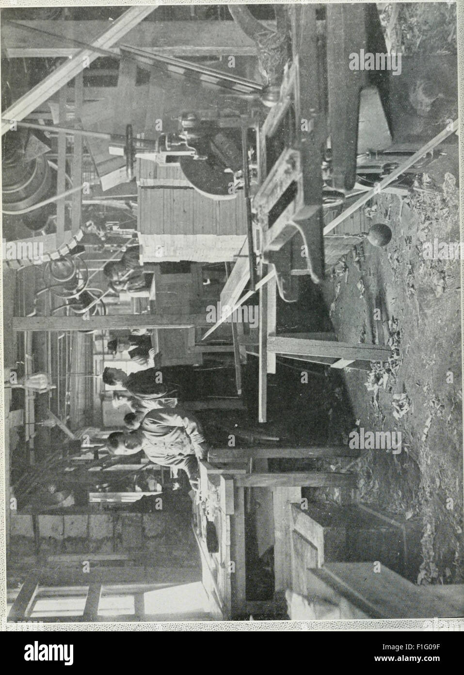 The Official History of the Cornwall Cheese and Butter Board (1919 ...