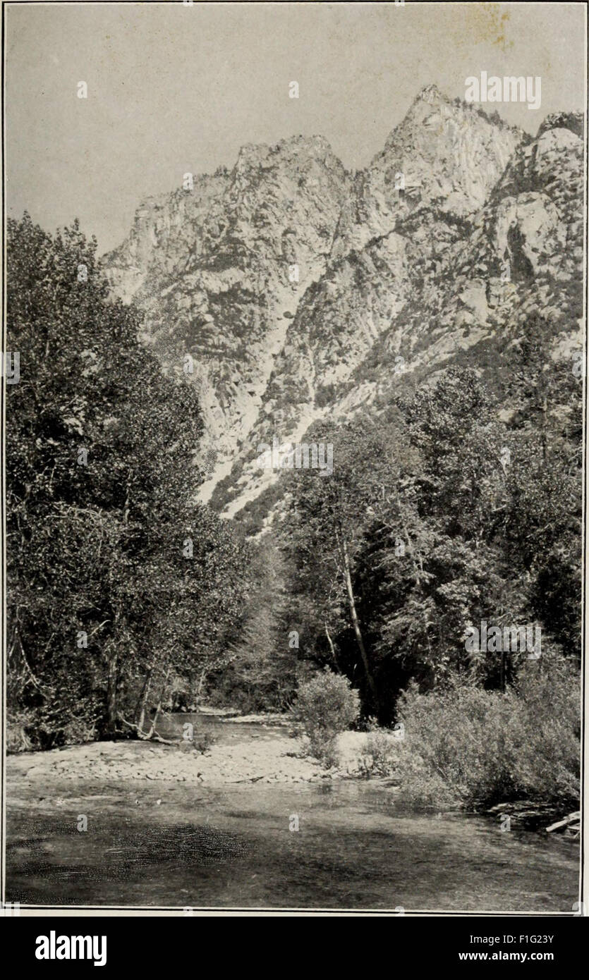 This 1909 book explores the development and significance of national ...