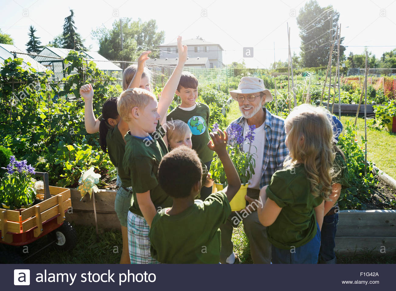 Indian teacher teaching kids hi-res stock photography and images - Alamy
