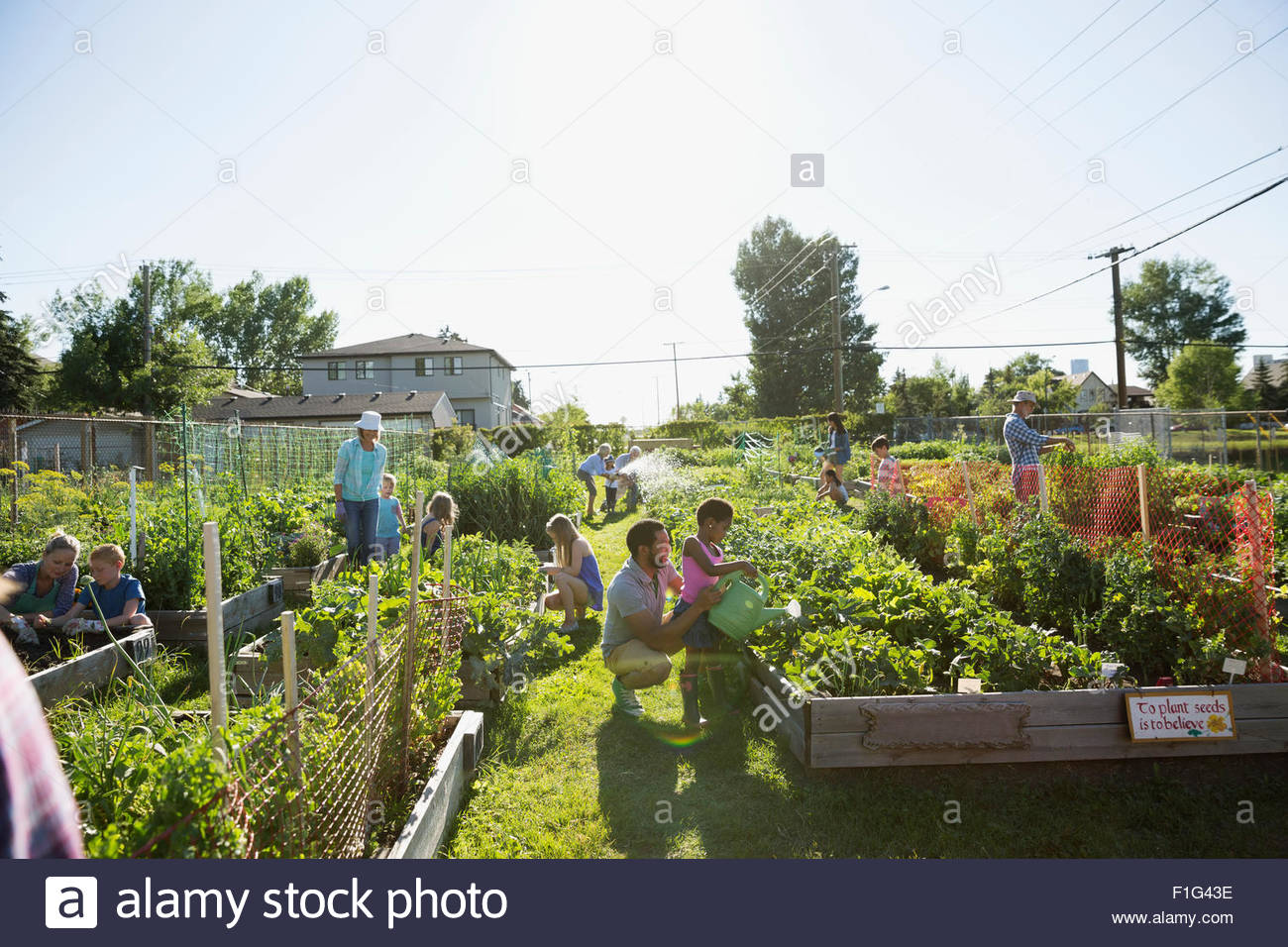 Neighbors garden hi-res stock photography and images - Alamy