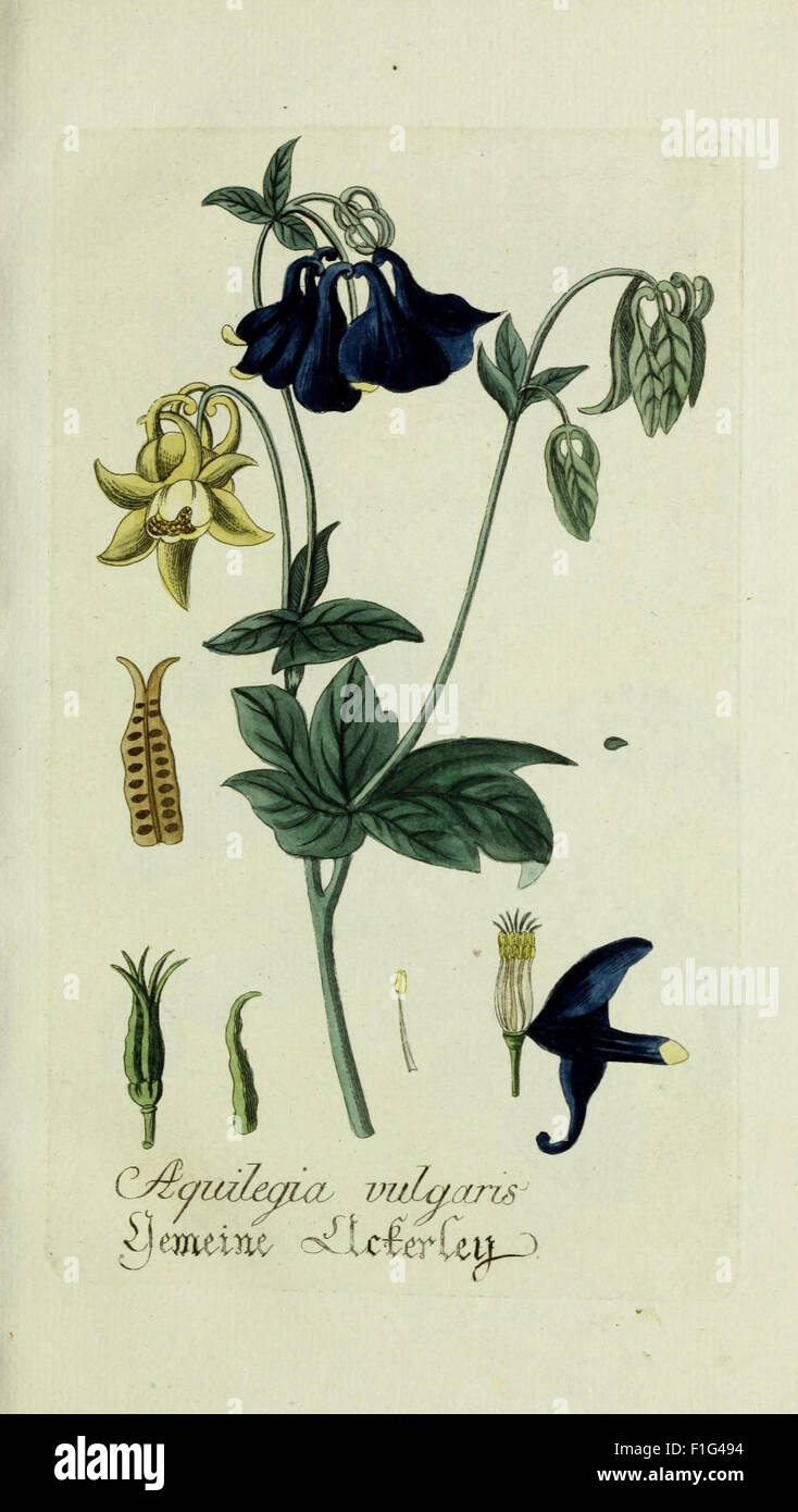 This book, held in the Harvard University Botany Libraries, features ...