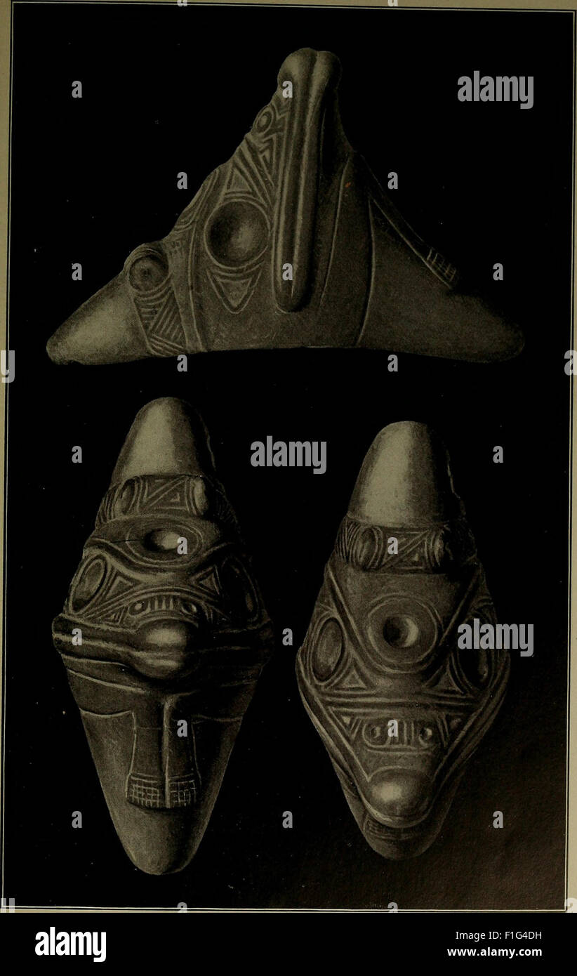 *Porto Rican Stone Collars and Tripointed Idols* (1904) examines the ...