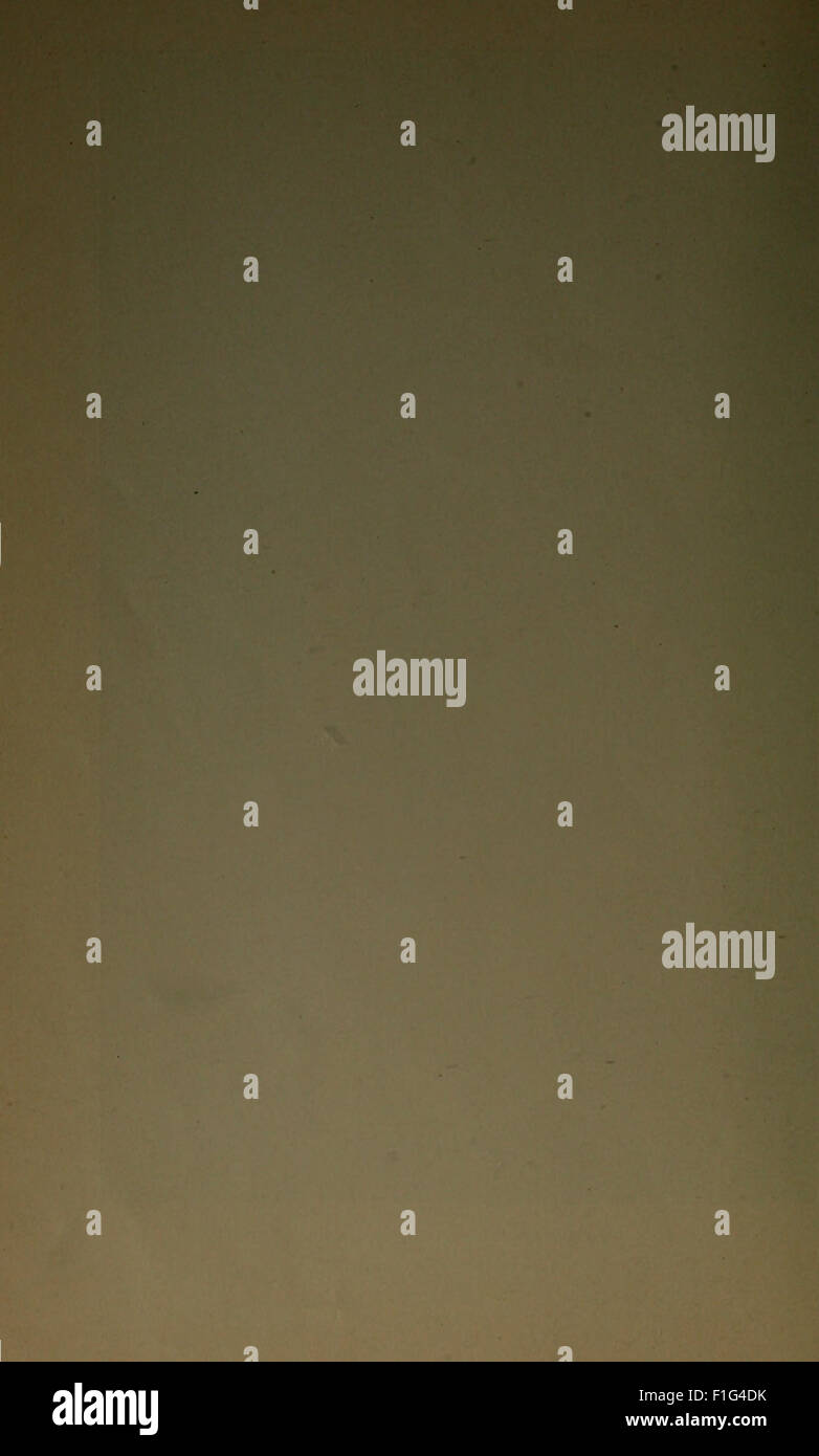 *Porto Rican Stone Collars and Tripointed Idols* examines the ...