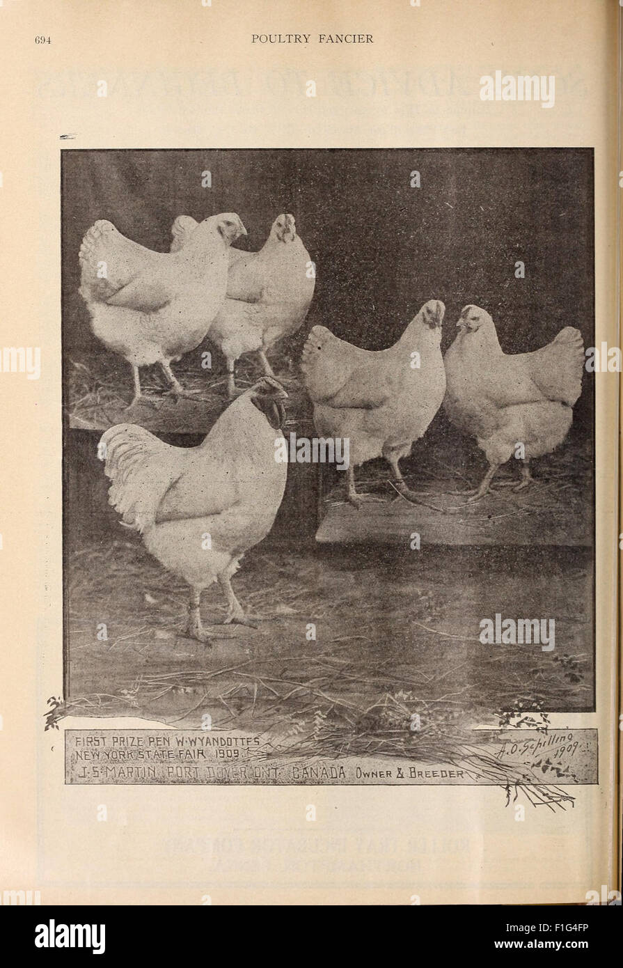 This 1912 guide is dedicated to poultry breeding, offering practical ...