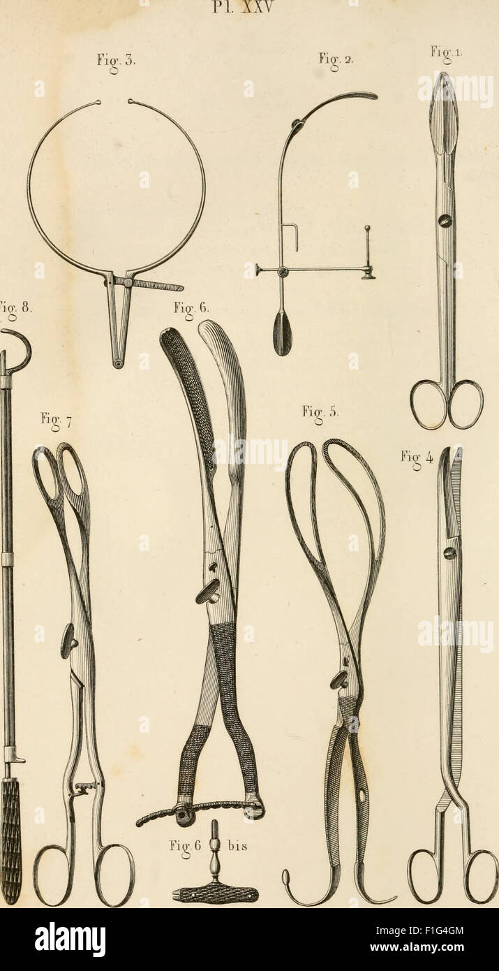 19th century medical diagrams hi-res stock photography and images - Alamy
