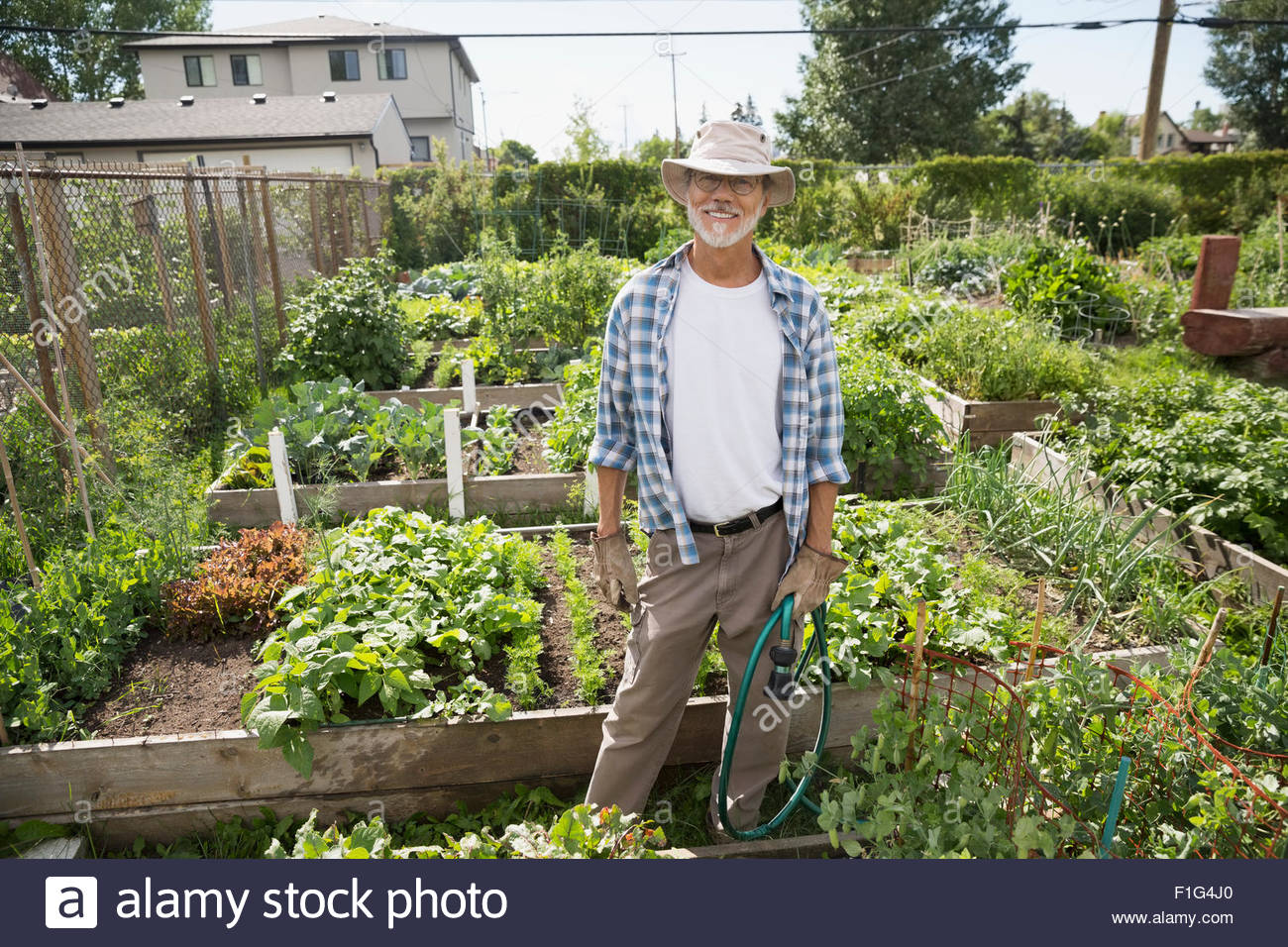 Portrait smiling man in vegetable garden Stock Photo - Alamy