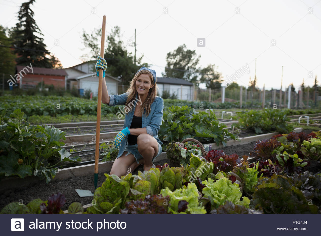 Portrait smiling woman tending to vegetable garden Stock Photo - Alamy