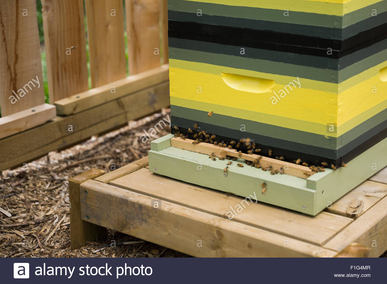 Modern Bee Hive High Resolution Stock Photography and Images - Alamy
