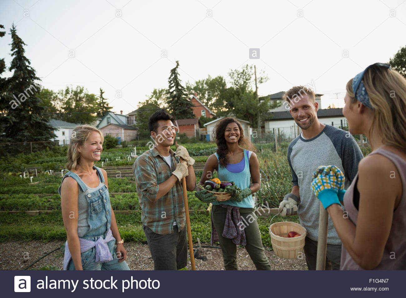 Friends talking in community garden Stock Photo - Alamy