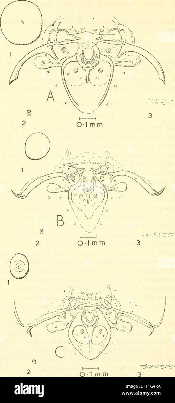 Map of united states 1960 hi-res stock photography and images - Alamy