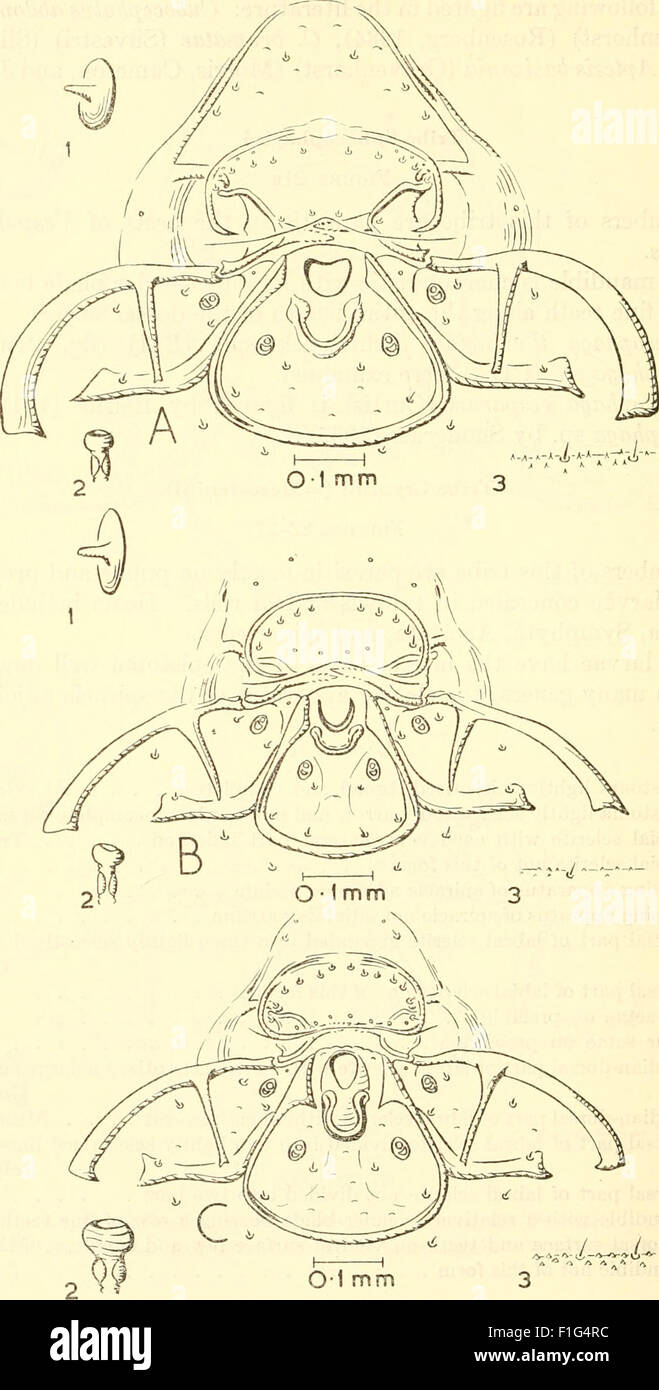 Map of united states 1960 hi-res stock photography and images - Alamy