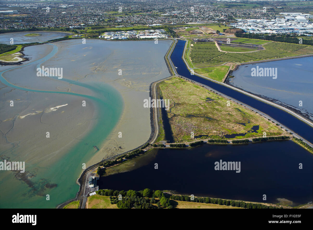 Outflow from Mangere wastewater treatment plant, Puketutu Island ...