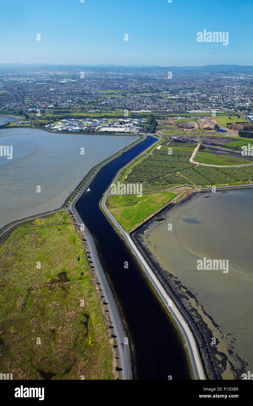 Outflow from Mangere wastewater treatment plant, Puketutu Island ...