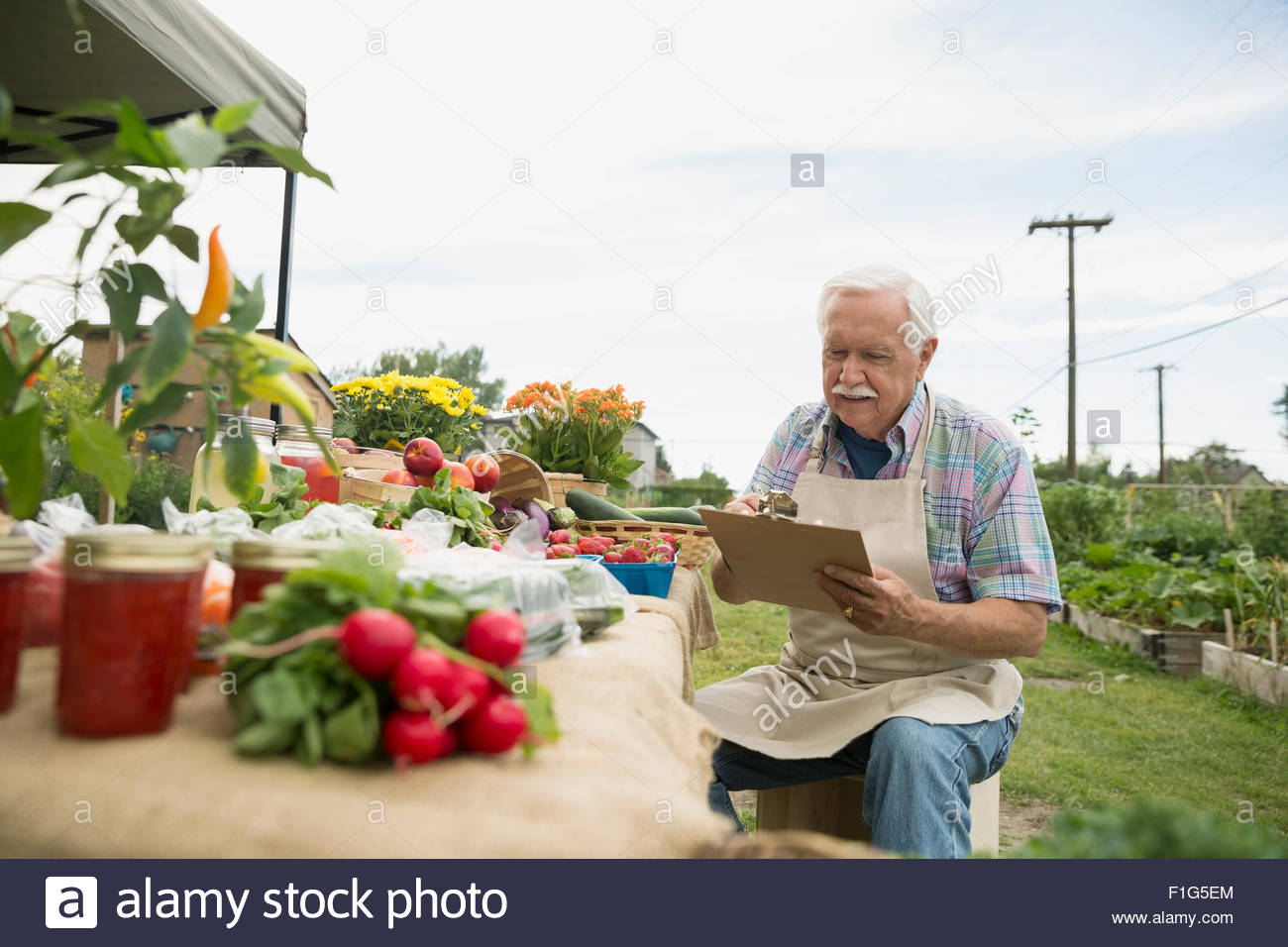 Farmer with clipboard checking inventory farmers market stall Stock ...