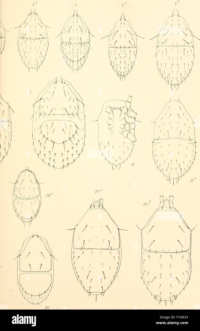 Redia is a biological journal focused on the study of parasitology ...