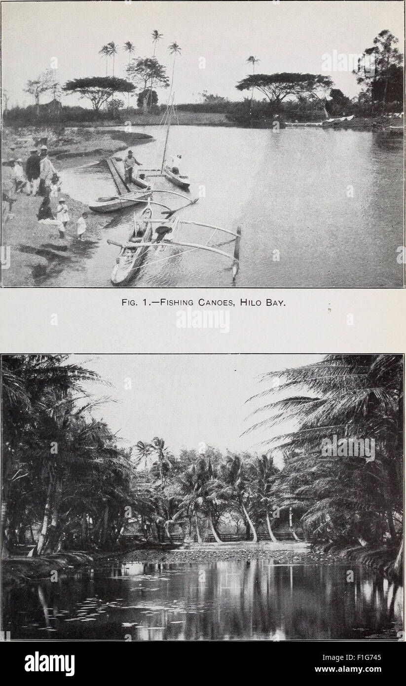 This 1901 report provides an overview of Hawaii’s agricultural ...