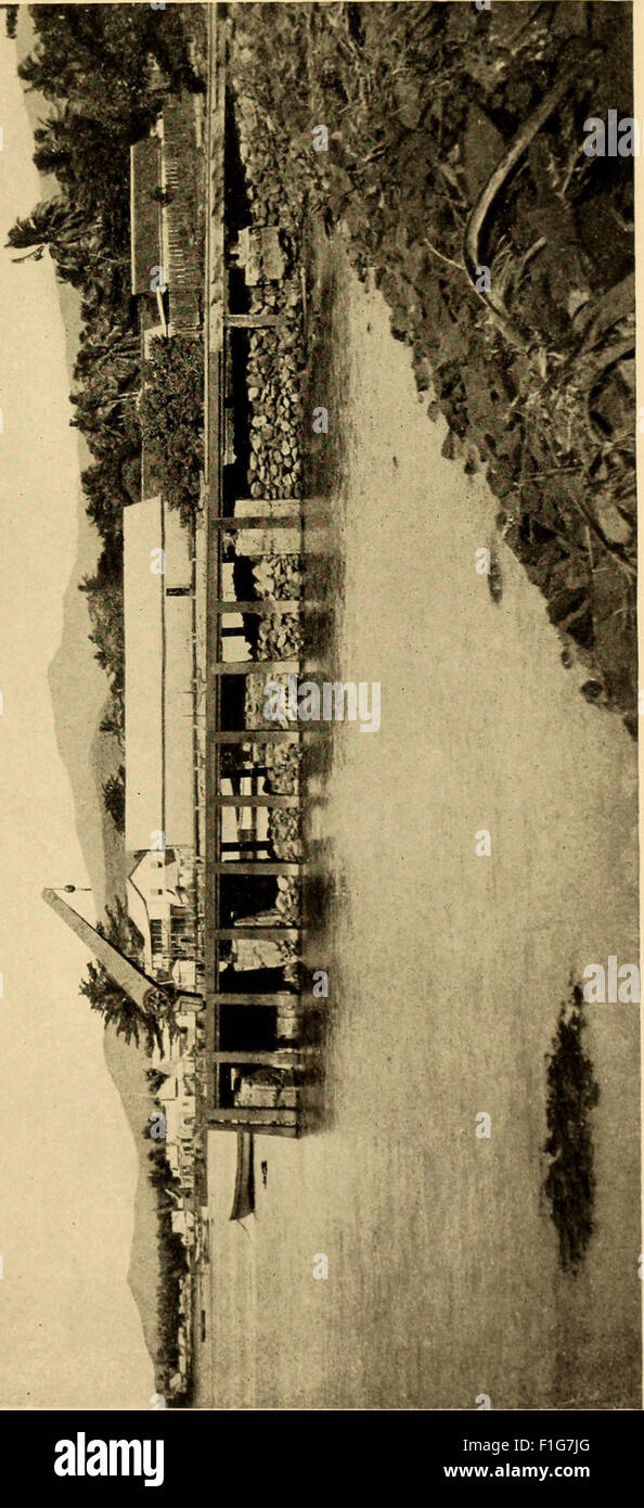 'Samoa Uma, Where Life Is Different' (1902) explores the unique ...