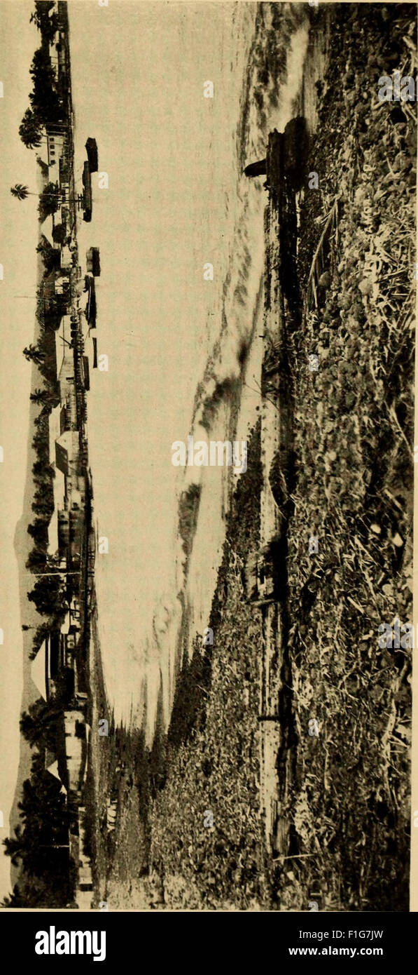 Samoa 'uma, where life is different (1902 Stock Photo - Alamy