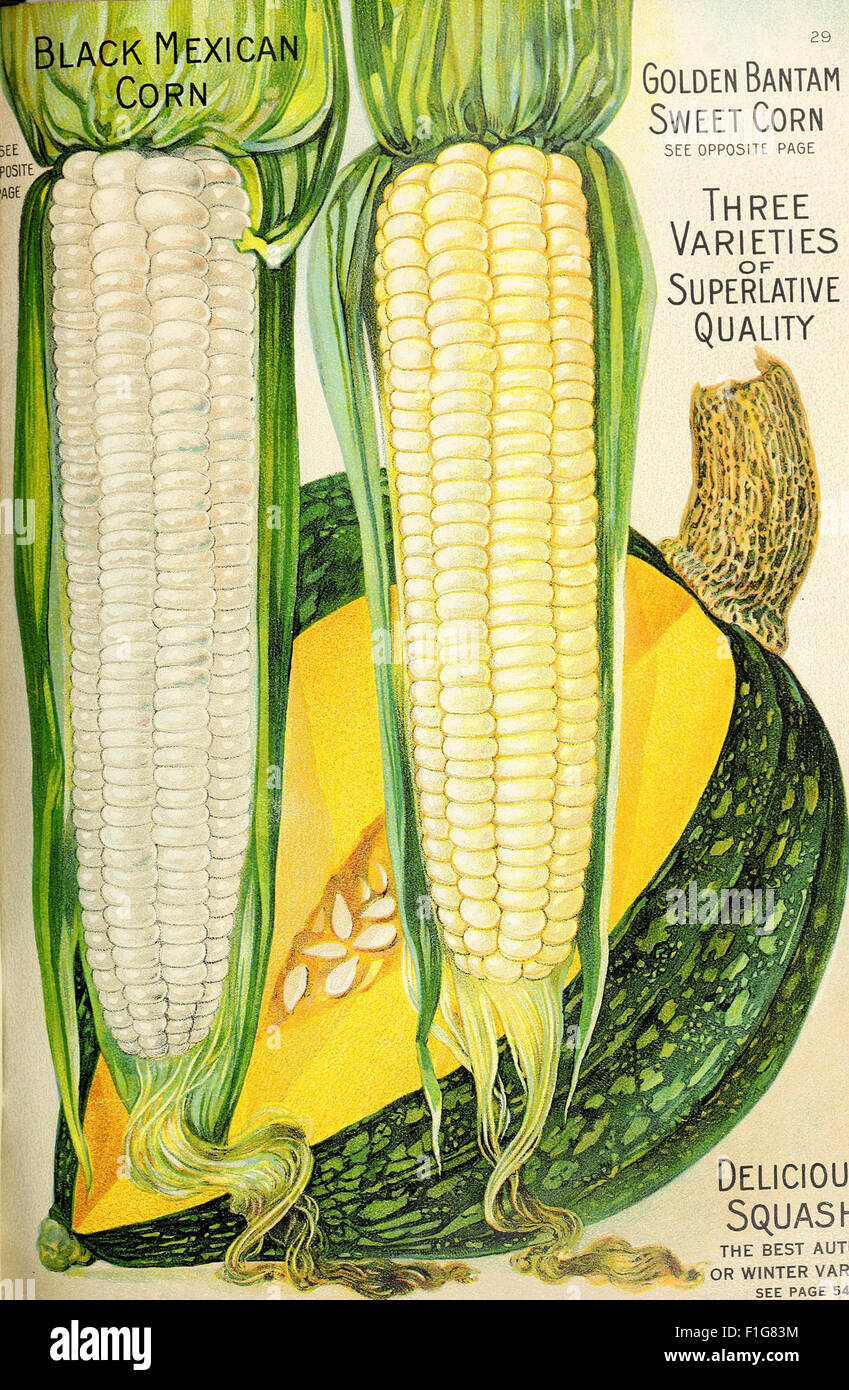 This 1908 seed catalog offers a comprehensive list of seeds available ...