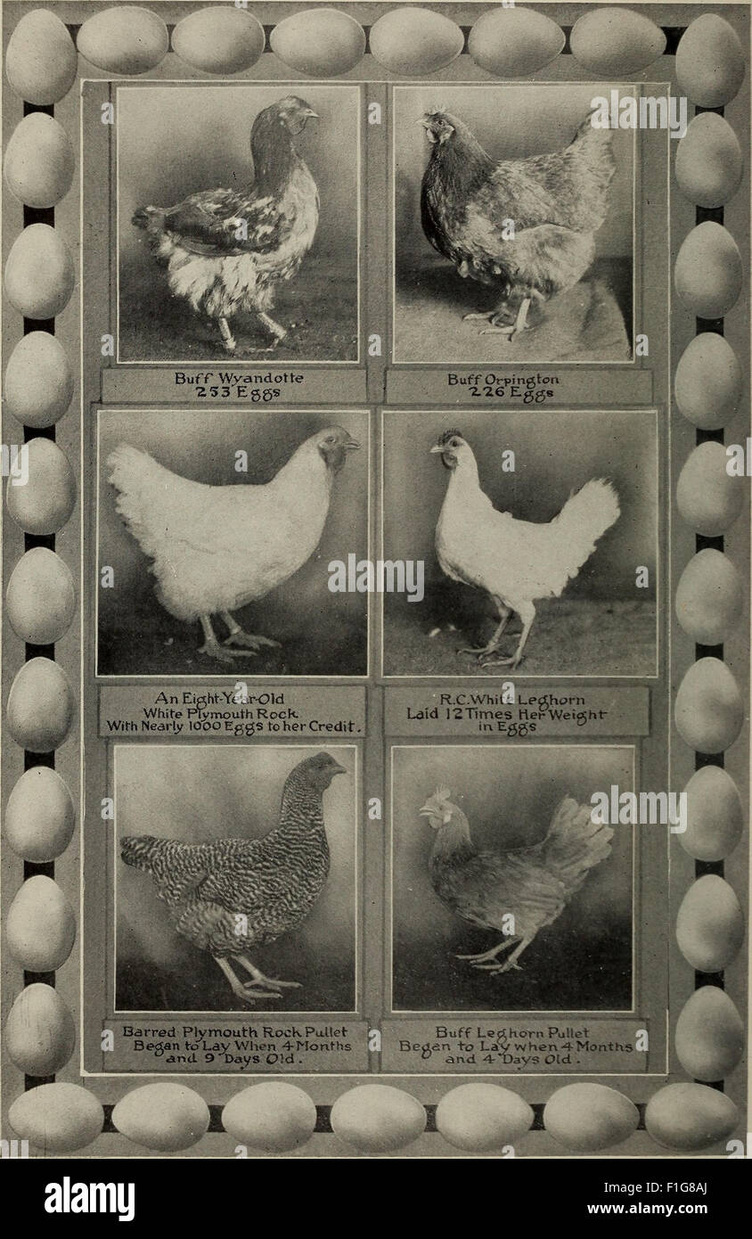 This 1914 publication explores the Missouri State Poultry Experiment ...