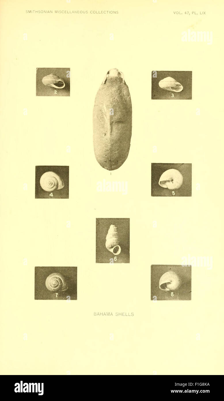 The Smithsonian Miscellaneous Collections include a wide range of ...