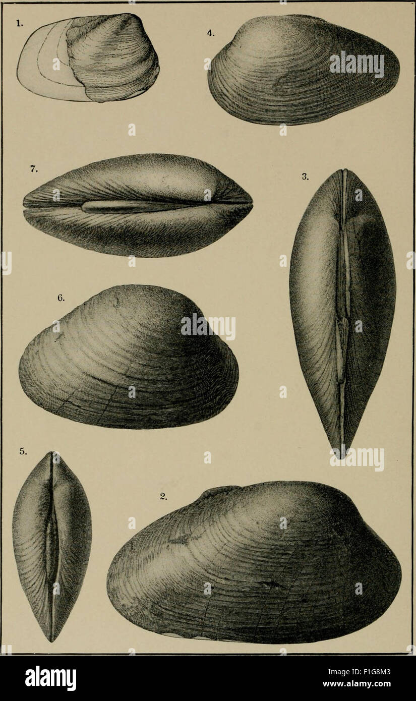 Smithsonian miscellaneous collections (1907 Stock Photo - Alamy