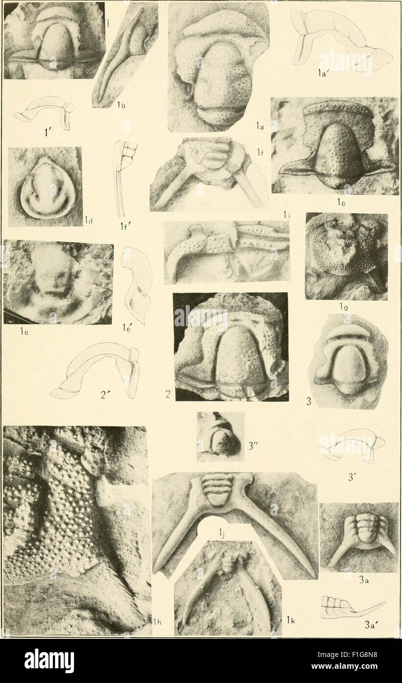 The 'Smithsonian Miscellaneous Collections' (1916) includes a range of ...