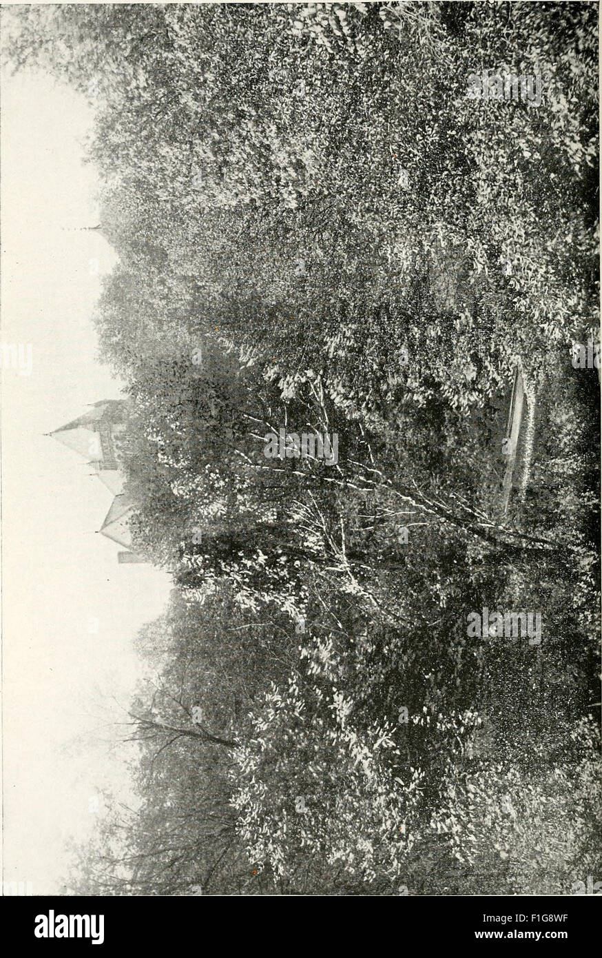 'Sorosis' (1903) provides a detailed exploration of the role and ...