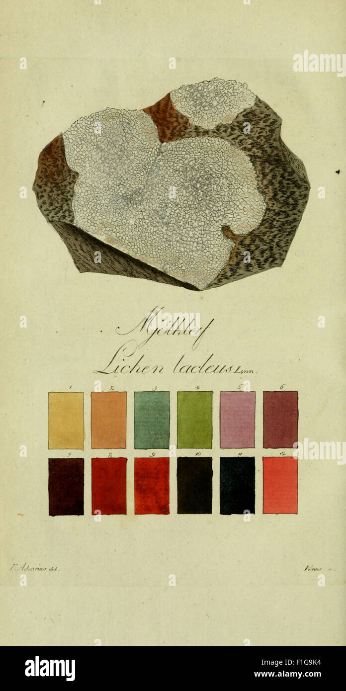 This work provides an in-depth study of the color history of Swedish ...