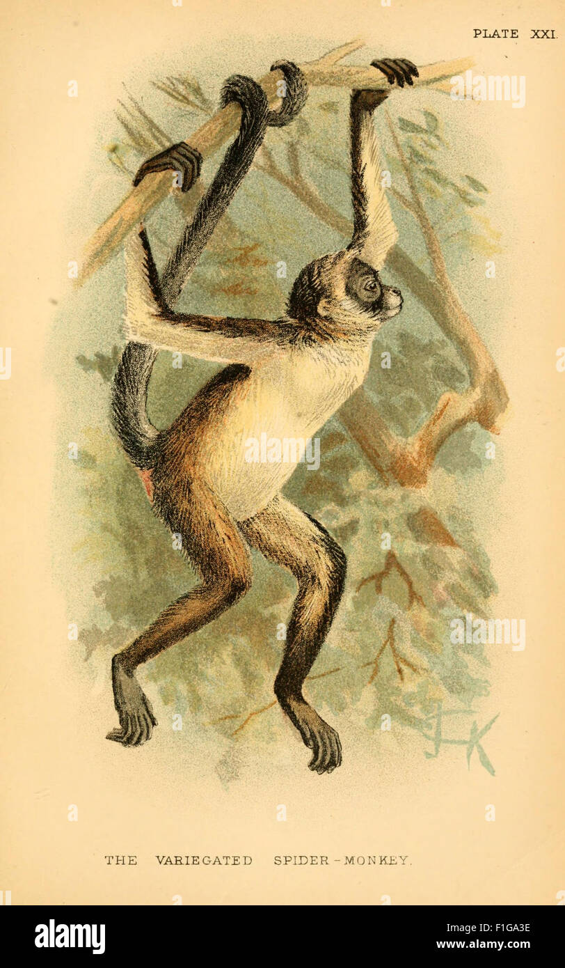 This 19th-century handbook provides a comprehensive overview of ...