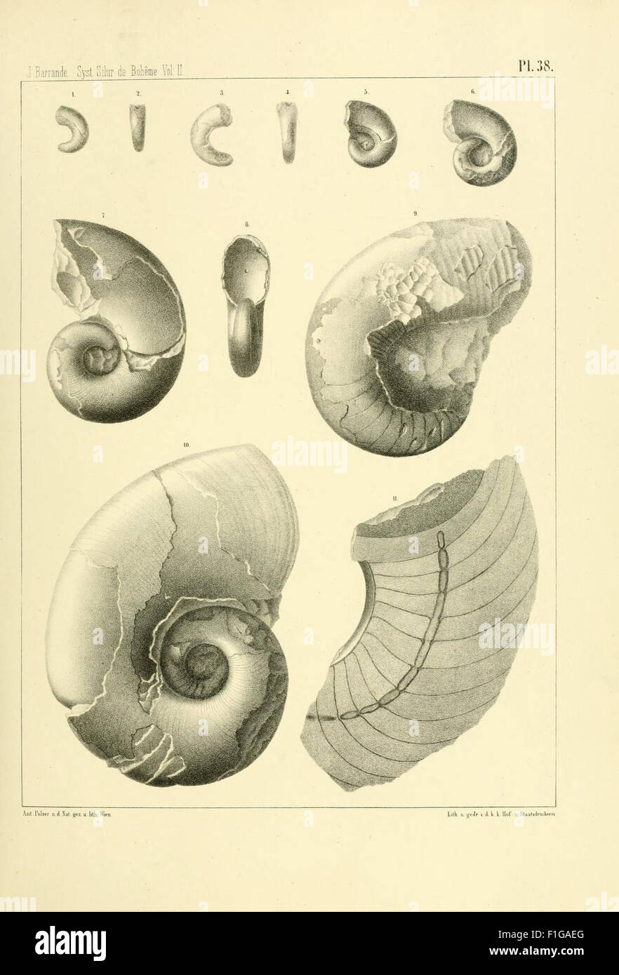 This geological work presents the Silurian system of the Bohemian ...
