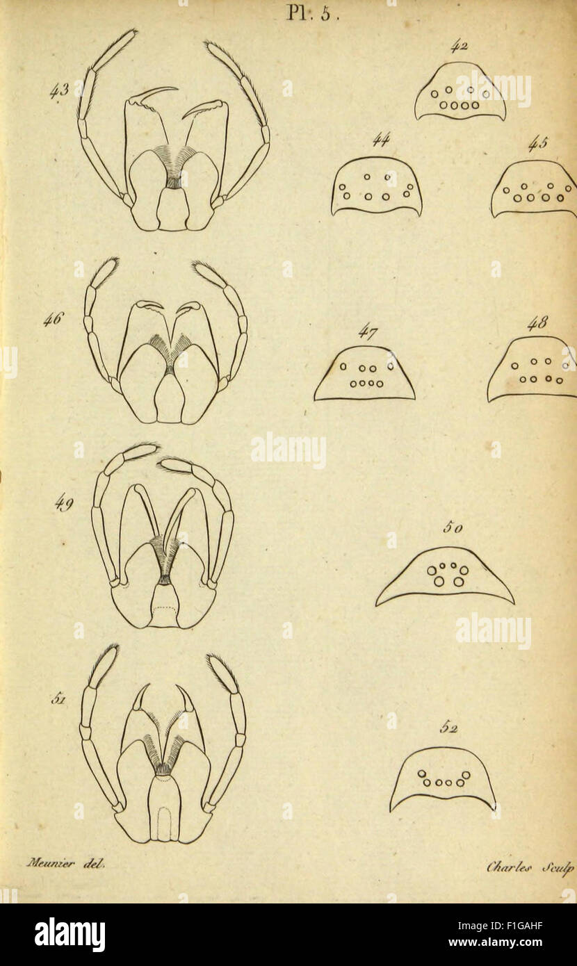 'Tableau des Arachnides' is a scientific illustration and ... 'Tableau des Arachnides' is a scientific illustration and ...
