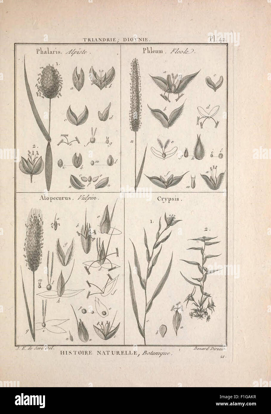 This vintage book, 'Tableau encyclop,dique et m,thodique,' categorizes ...